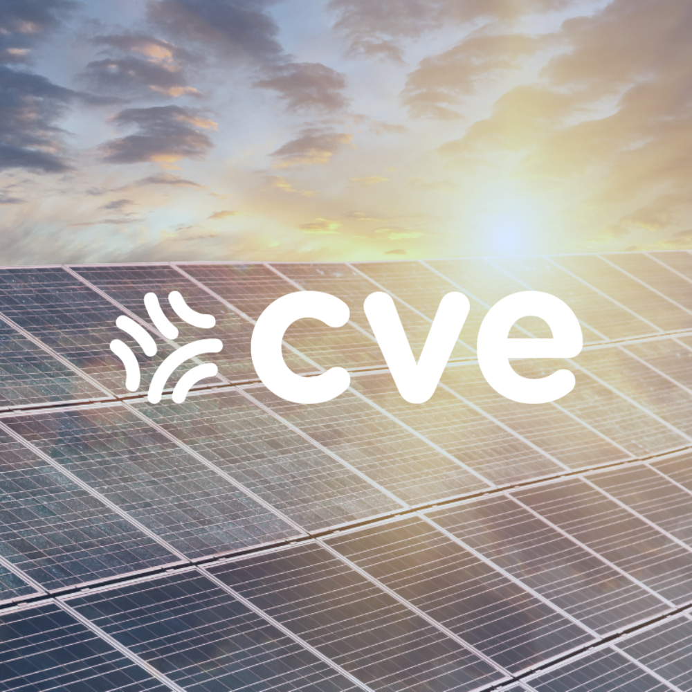 Mise en place d'IFS Cloud pour soutenir la croissance de CVE | Cas Client | BAW